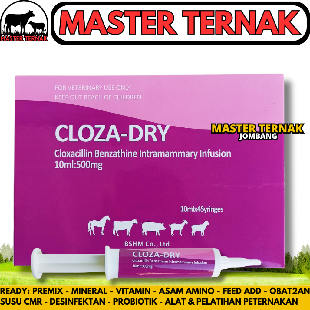 Cloza DRY 1 SYRINGE - DRY Anti-Matitis Medicine for Cattle, Goats ...
