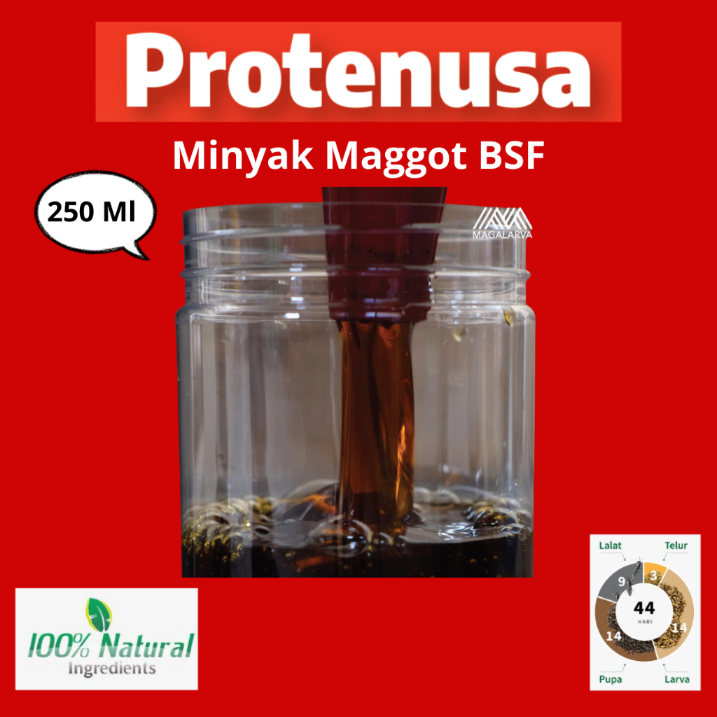 Protenusa MAGOT BSF OIL 250ml PREMIUM GRADE A+Nutritional BSF CRUDE OIL ...