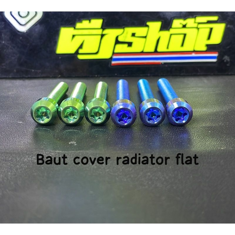 Probolt titanium bolts for Vario 125/150 pcx flat radiator cover ...