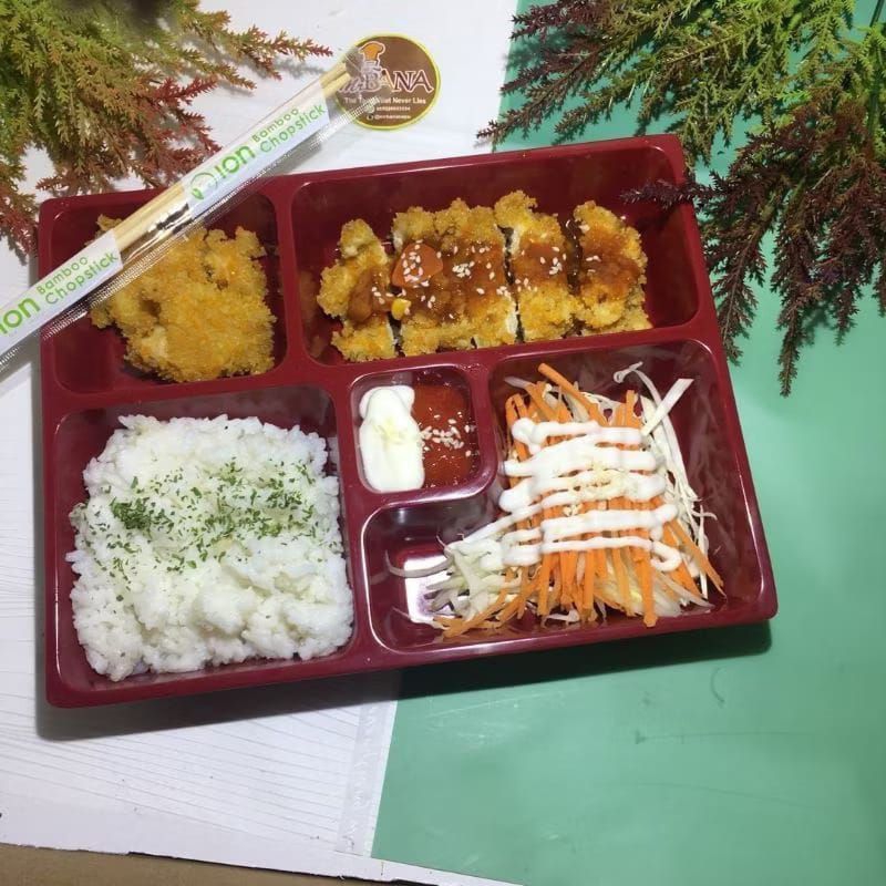 25 Cm Melamine Bento Divider Plate - Resto Bento Plate - Golden Dragon ...