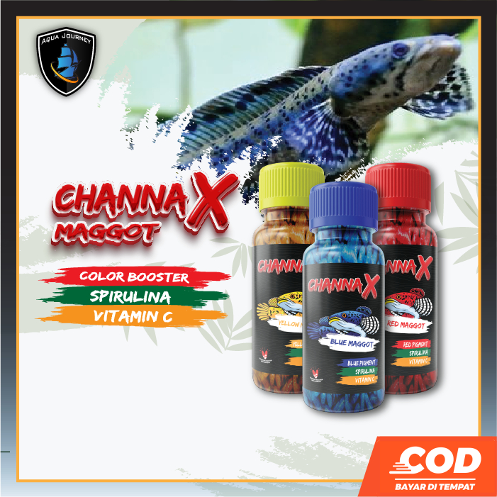 Maggot Channa Color Booster Channa Premium Feed Red Blue Yellow ...