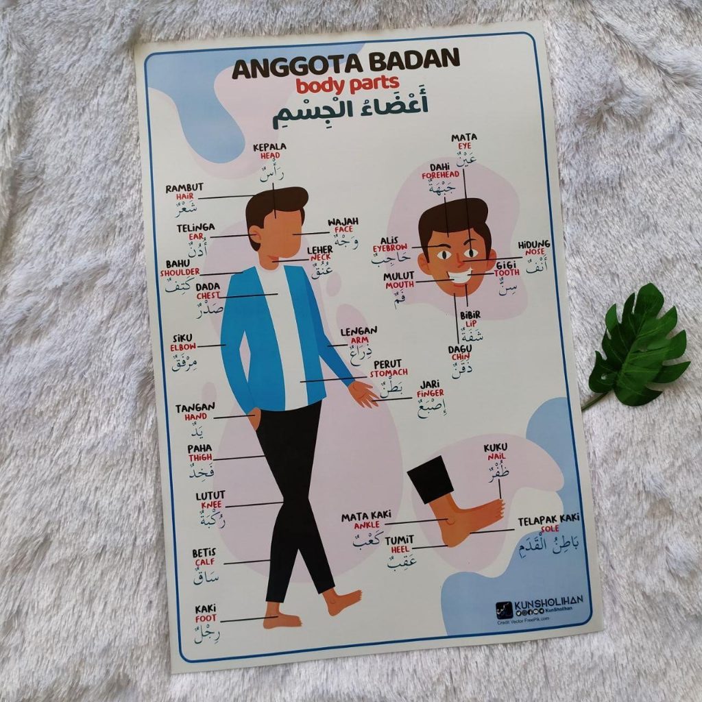 Poster of Body Parts Body Parts Indonesia Arab English | Shopee Philippines