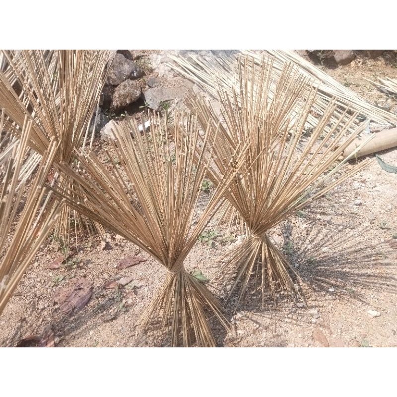 Bamboo Stick - arku Kite Size 57cm 3mm 200 Sticks | Shopee Philippines