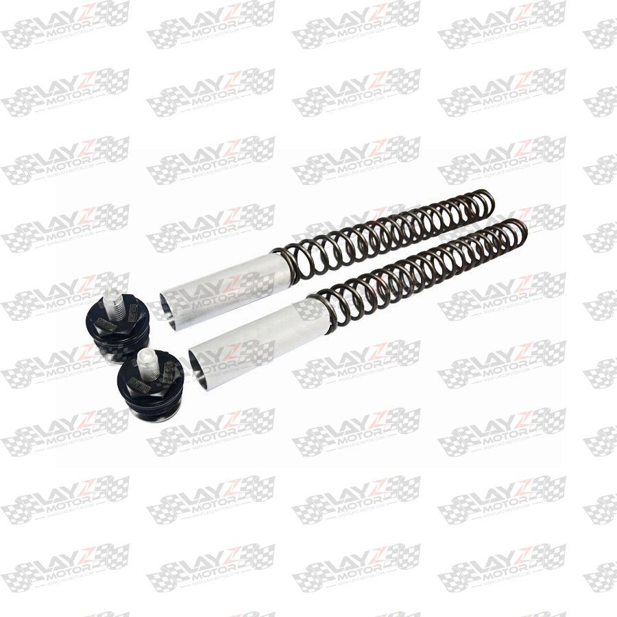 Ohlins FSK-131 kit Yamaha XMAX 250 Front Spring Kit | Shopee Philippines