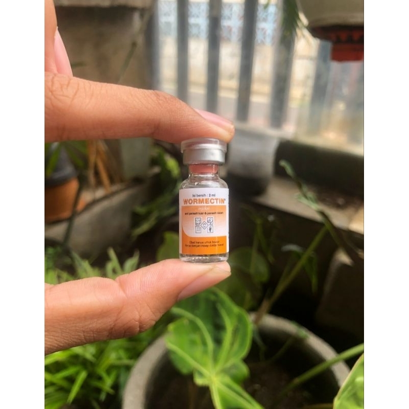 Scabies MEDICINE || Wormectin 2 ML || Free INJECTION 2CC | Shopee ...