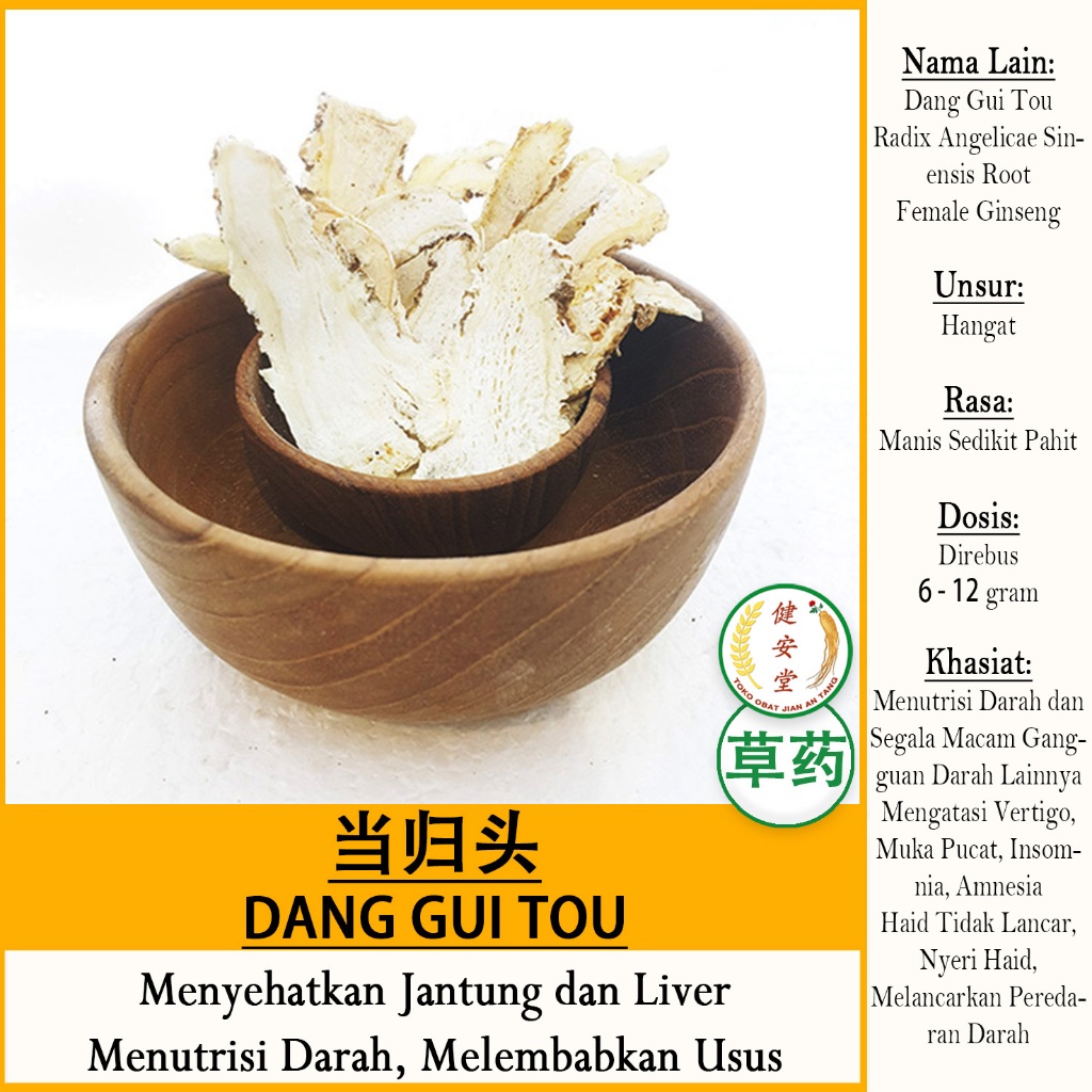 DANG GUI TOU - FEMALE GINSENG [ Angelica Sinensis Root] Herbal TCM PER ...
