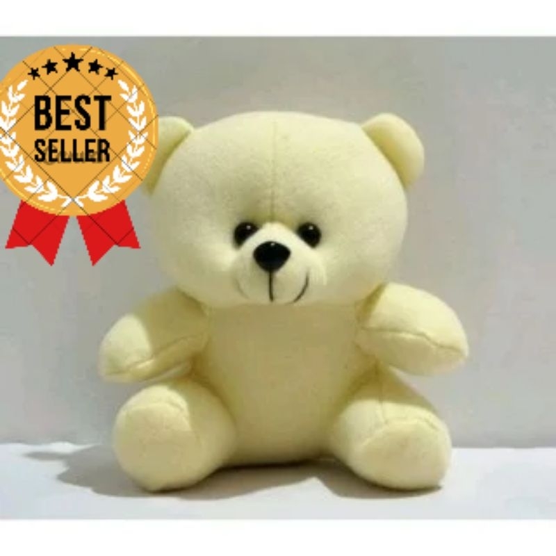Bear DOLL// MINI TEDYY BEAR// GRADUATION DOLL// SOVENIR BOUQET// TEDY ...
