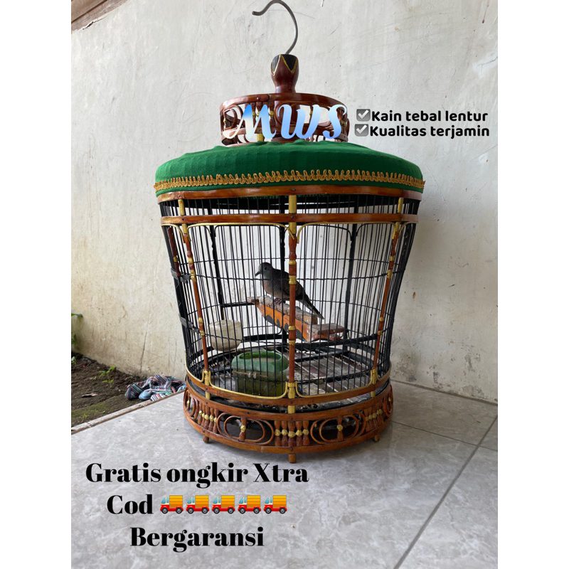 Mataram turtle dove cage veil, dome height 17cm / turtle cage veil ...