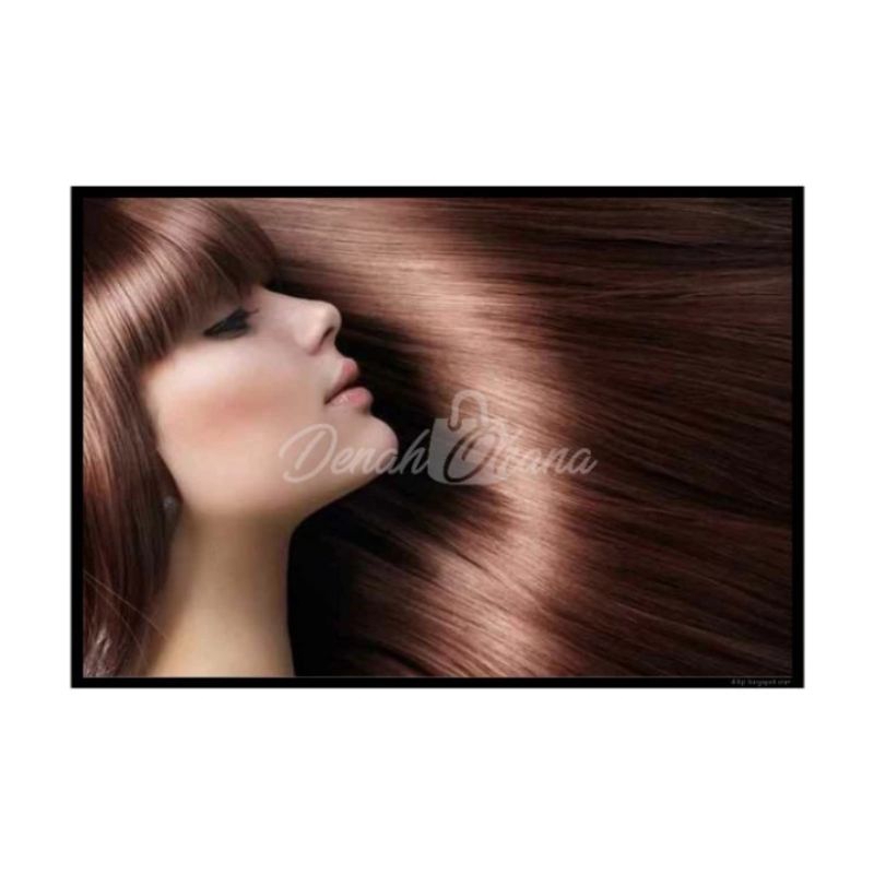 Salon Women's Hairstyle Poster Package | Shopee Philippines