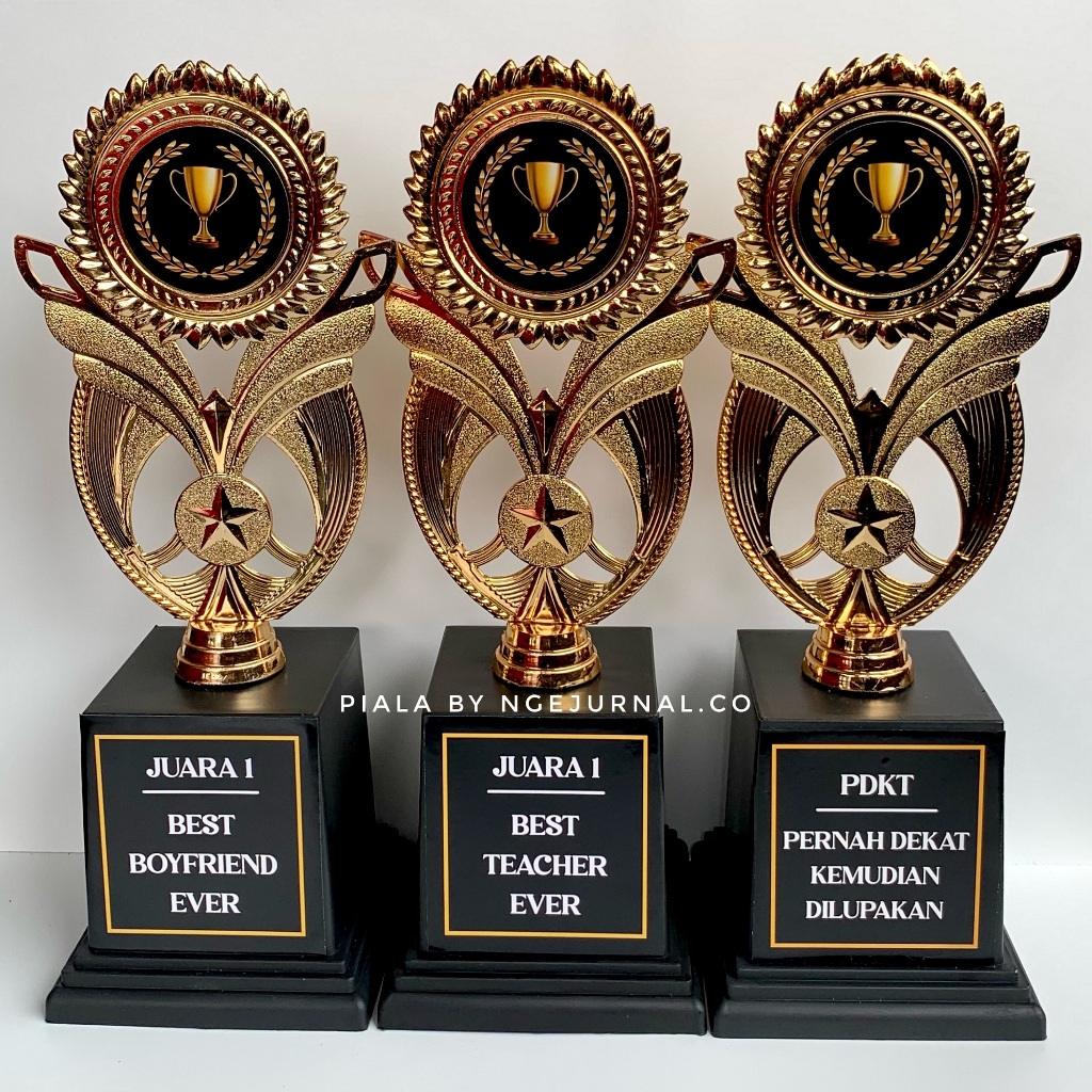 Award Trophy/Unique Trophy/BEST PARTNER Trophy/GRADUATION/ANNIVERSARY ...