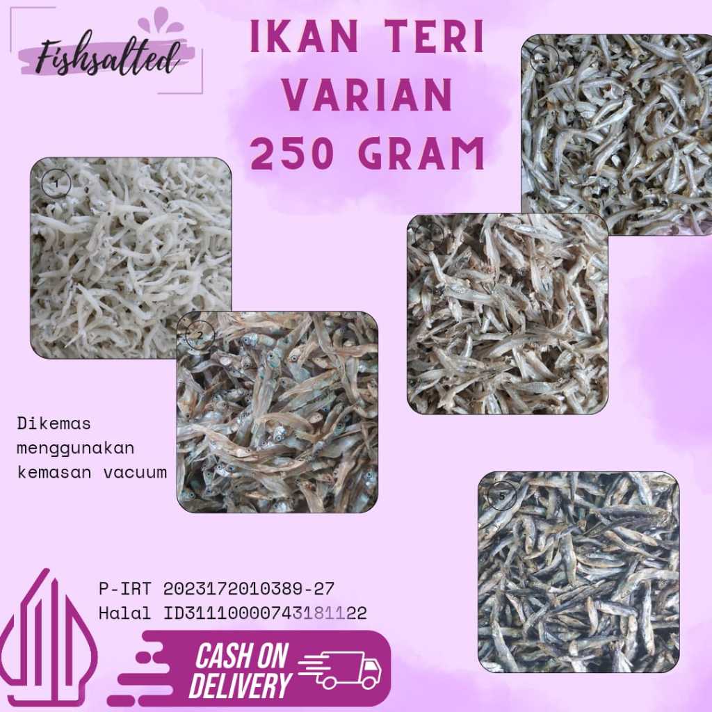 Various SQUID PACKAGED 250GR / SALTED SQUID / BABBY SQUID / JUMBO SQUID ...