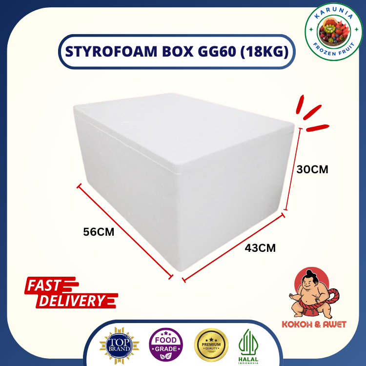 Styrofoam Box GG 60 UK 56x43x30CM/ Styrofoam Box 18KG | Shopee Philippines