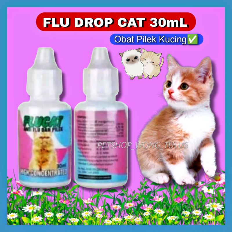 Pswt- Flu DROP CAT 30mL CAT Cold Medicine Kitten Adult CAT Cold ...