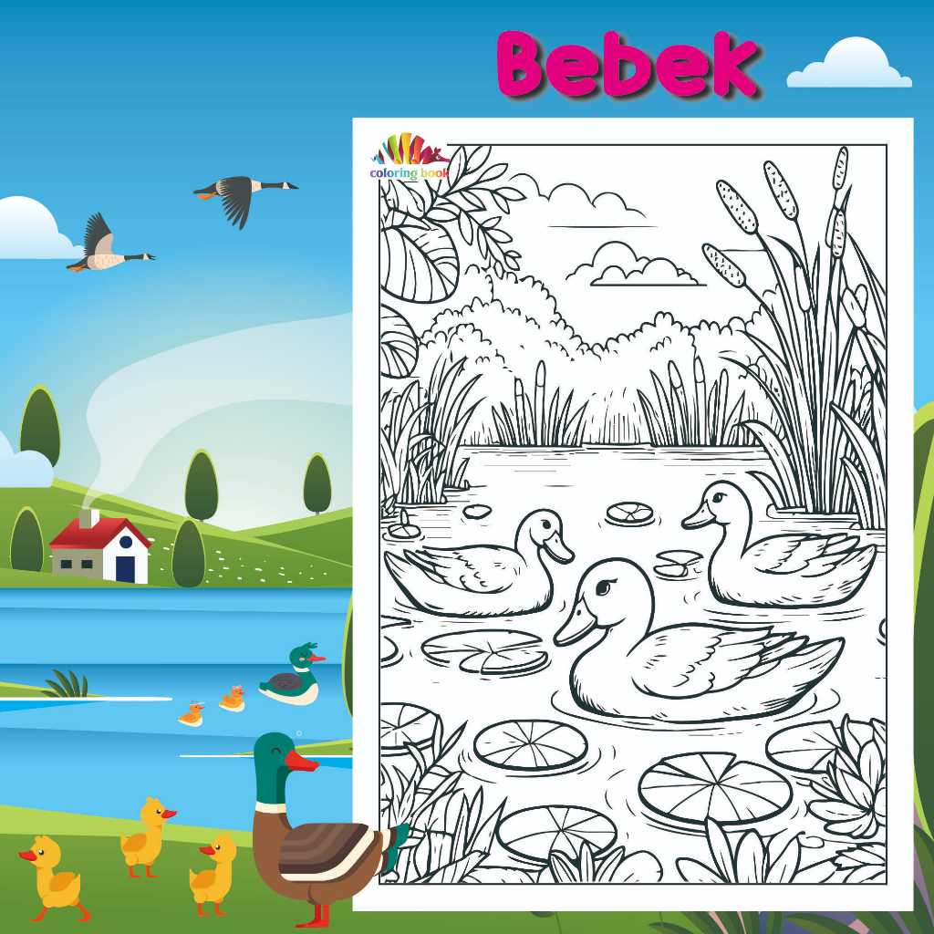 Coloring PAPER / COLORING / DRAWING PAPER / DUCKS / COLORING PAPER FOR ...