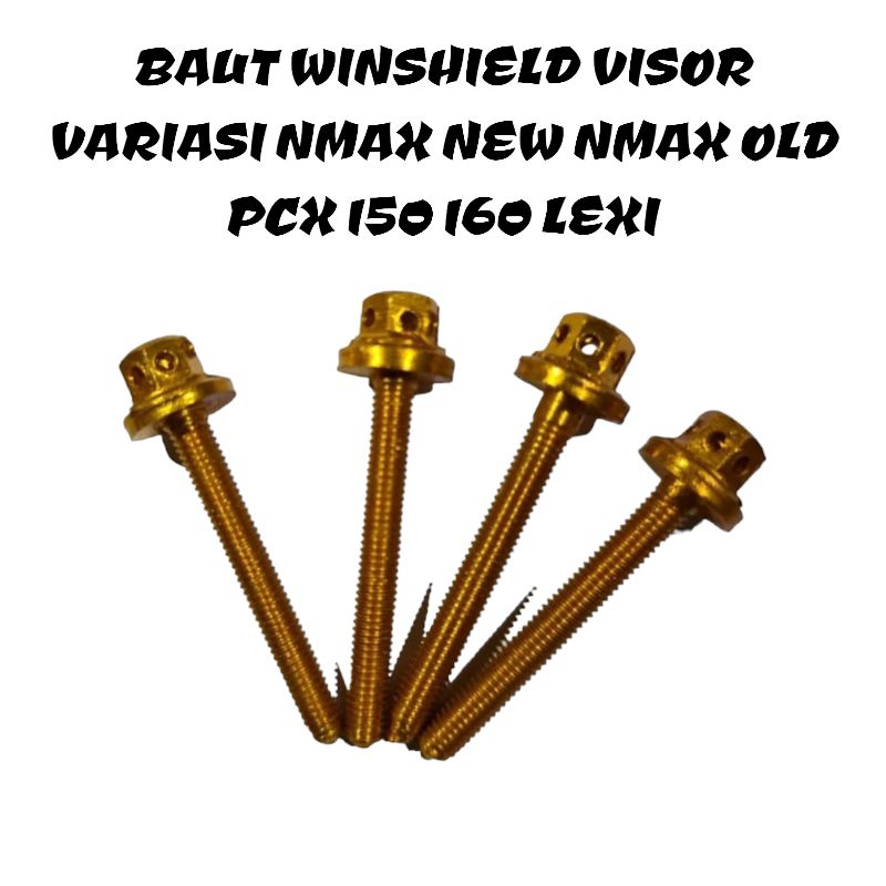 Visor bolts variations pnp nmax new nmax old aerox new old lexi pcx etc ...