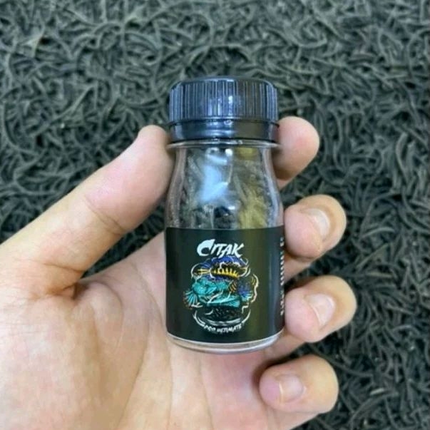 Pure Frog Pellets 100% Frog Feed Channa Auranti Frog Frog Rice Field by ...