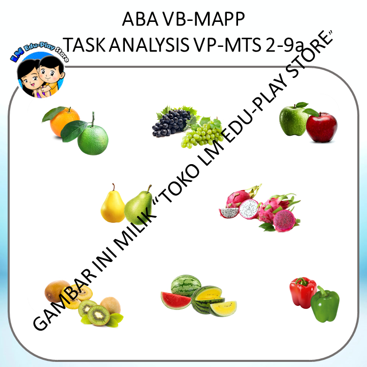 Aba VB-MAPP Task Analysis VP-MTS 2 Card (9a) | Shopee Philippines