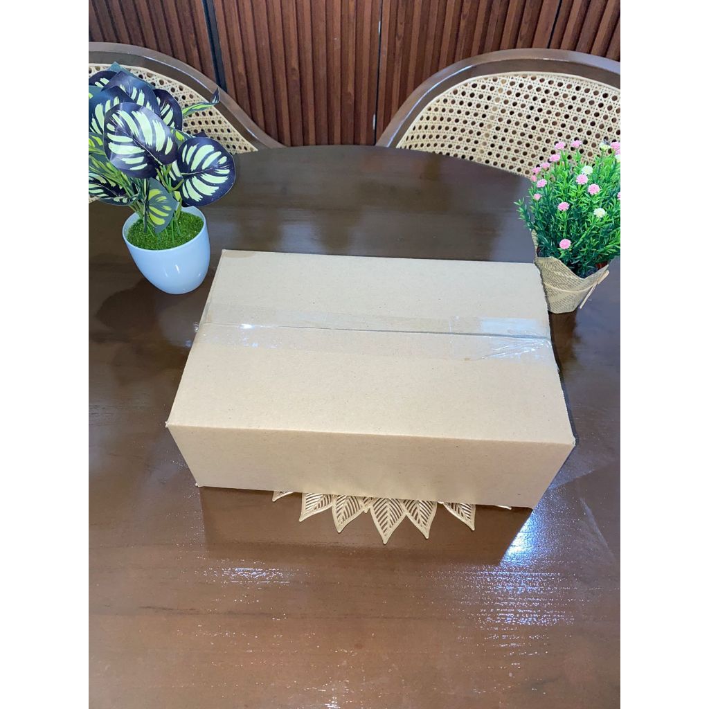 Plain BOX/CARTON BOX_LAYER BOX_(KARTON BOX) | Shopee Philippines