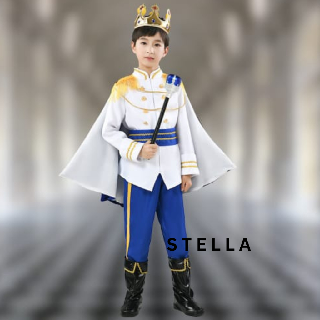 BLUE PRINCE CHARMING children's costume / Full Set children's PRINCE ...