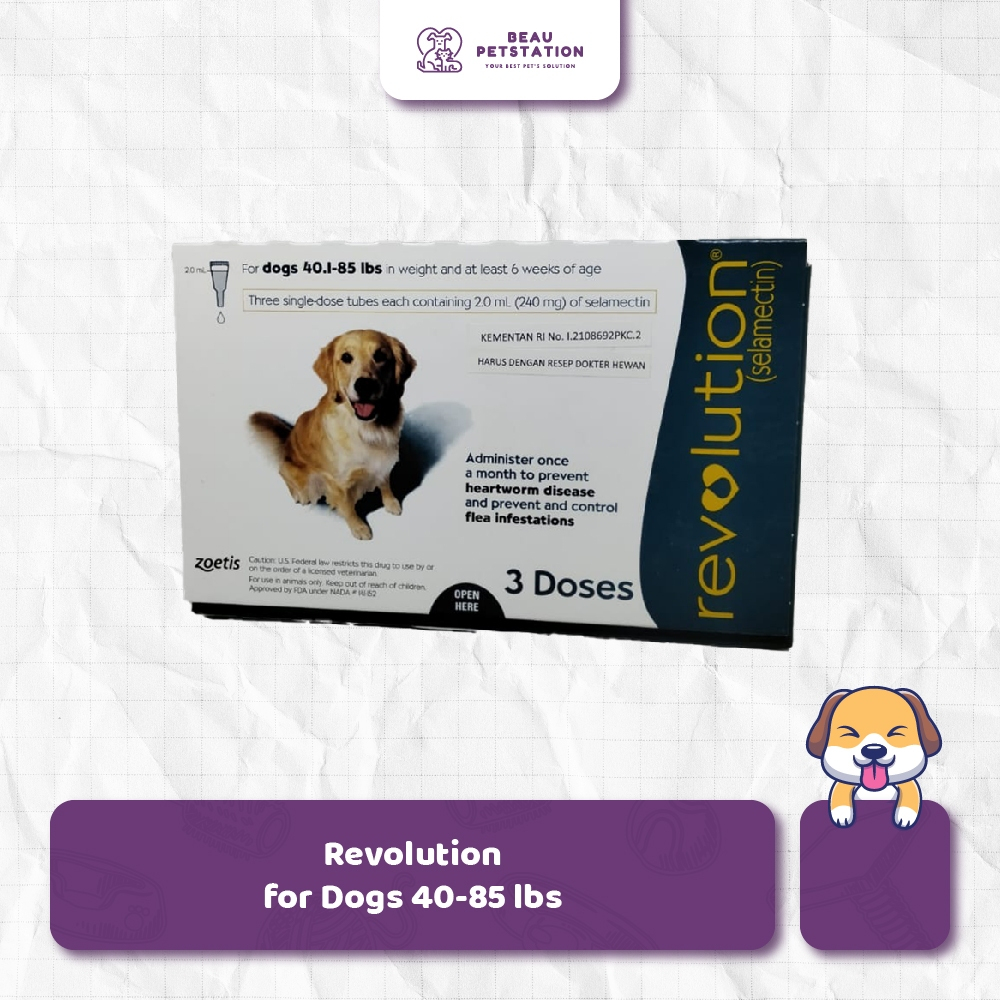 Revolution for Dogs 40-85 lbs - LARGE DOG FLEA MEDICINE (EASY TO USE) | Shopee Philippines