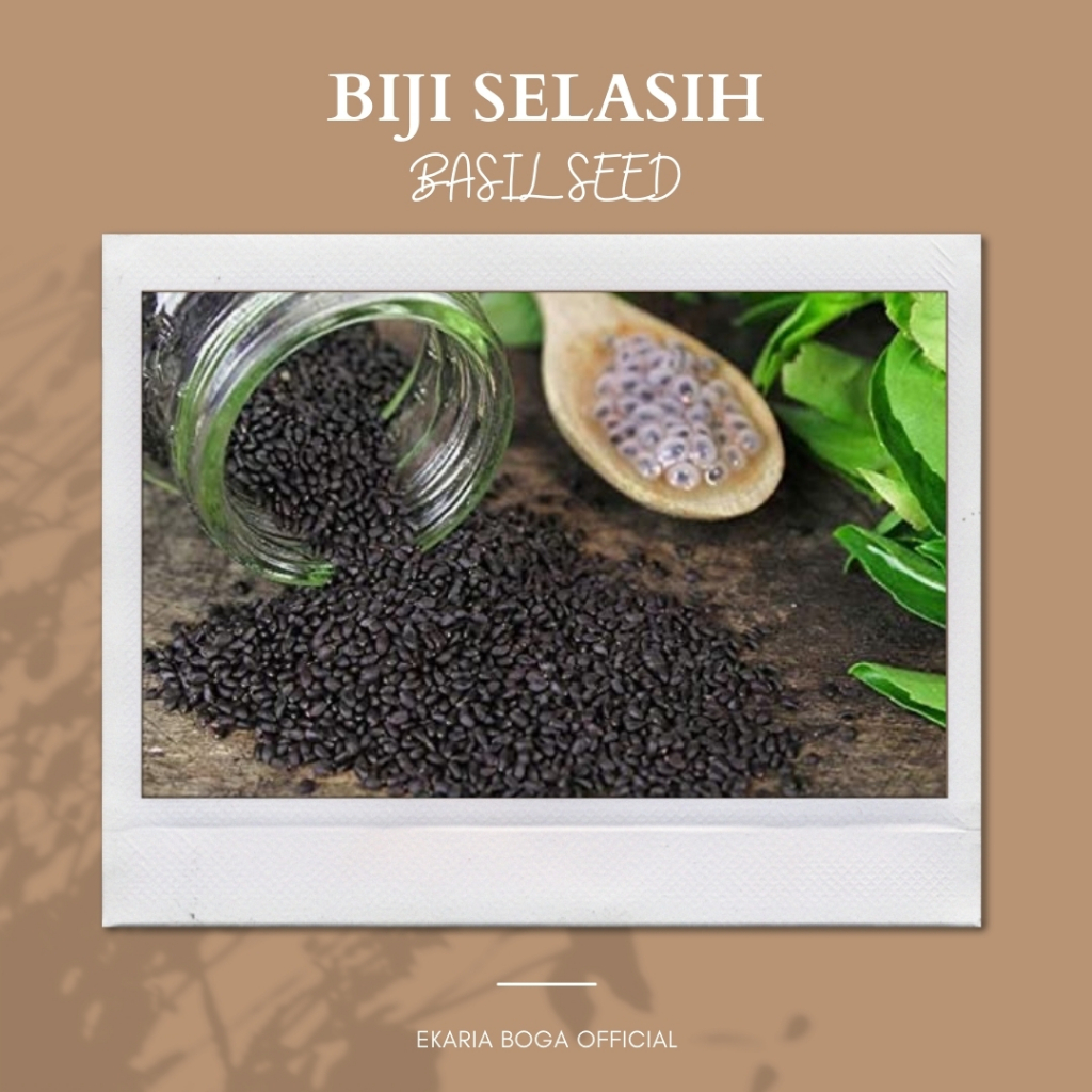 BEANS / SEEDS | BASIL SEED | Dried basil seeds | SELASIH SEEDS 250GR ...