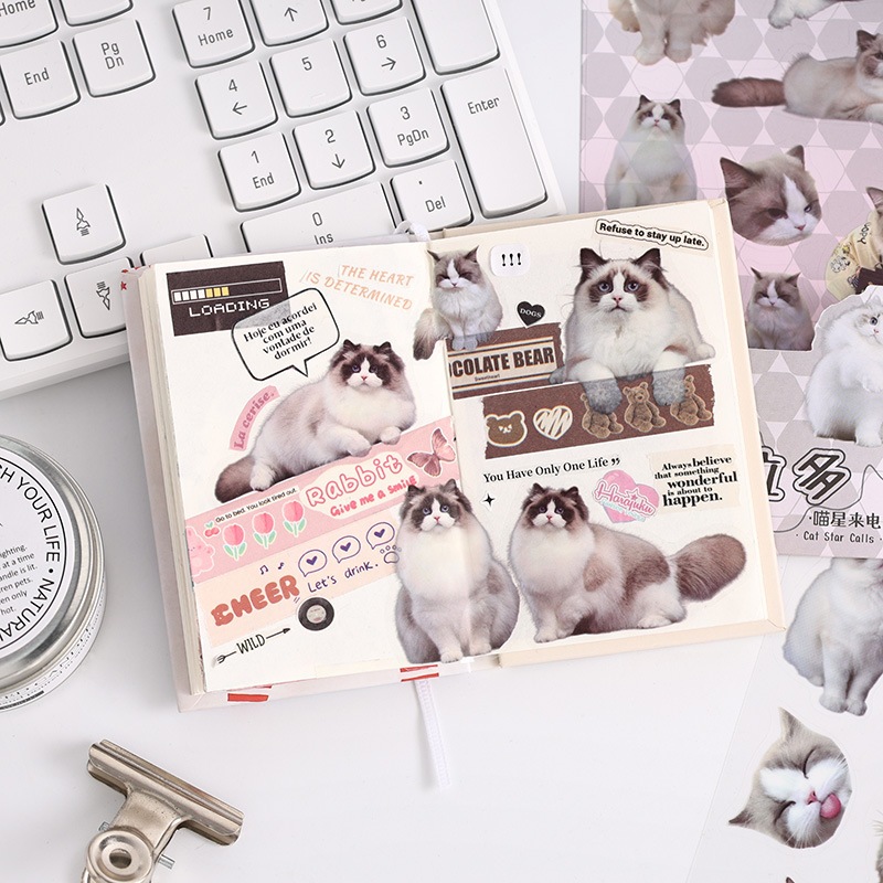 Diy Cat Stickers HP Casing Cat Sticker Decor Clear Stickers Diary Book ...