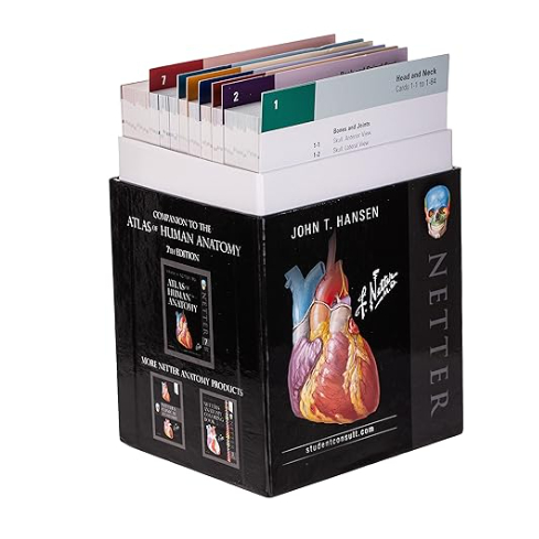 Flash Cards - Netter's Anatomy Netter Basic Science Medical Education ...