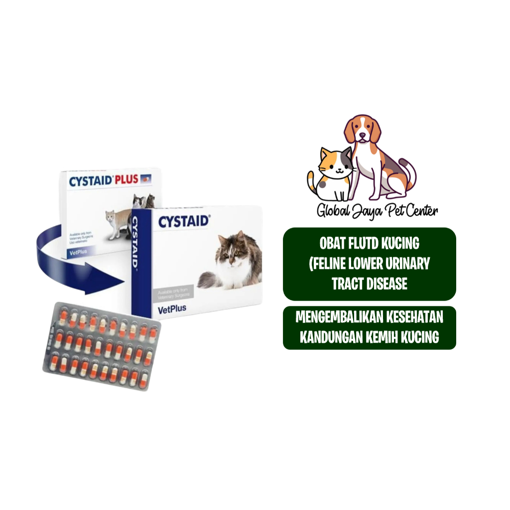 Cystaid Capsule Medicine FLUTD Disorders Of Cat Dog Urine 1 blister (30 ...