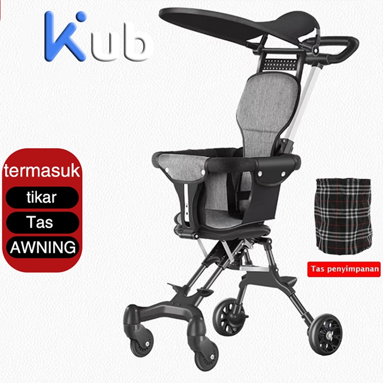 Baby Stroller 2-Way Traveling Bike Newborn to 5 Years Old Portable ...