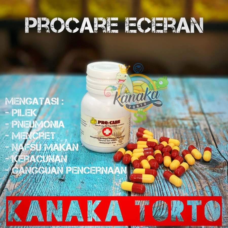 Jkk Procare Per Capsule Pro Care Cold Medicine Pneumonia Land Turtle ...