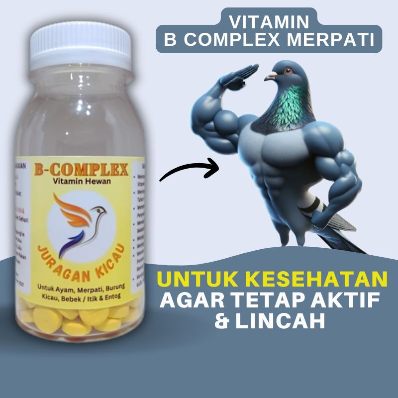 Pigeon Vitamin B Complex to Maintain Health to Stay Active and Lively ...