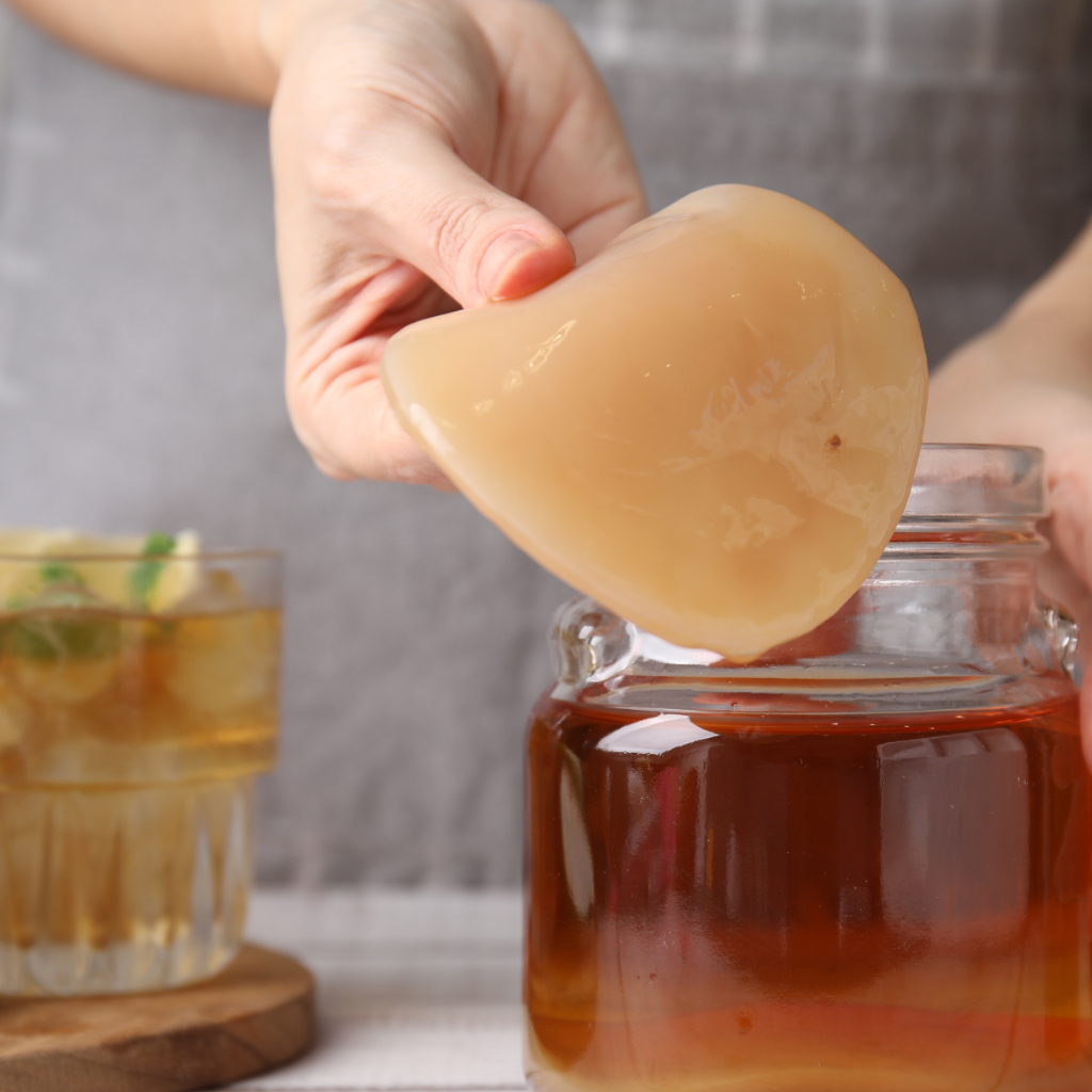 SCOBY Original Kombucha / Black Tea Fermented Starter for 1 Liter ...