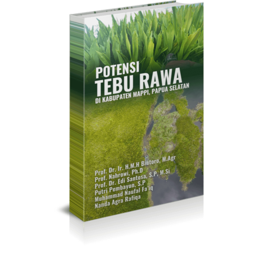 Swamp Cane Potential in Mappi Regency, South Papua | Shopee Philippines