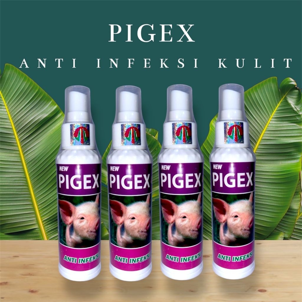 Pigex Spray 120ml, Anti-Inflammatory Infection Scabies Gudig Itchy ...
