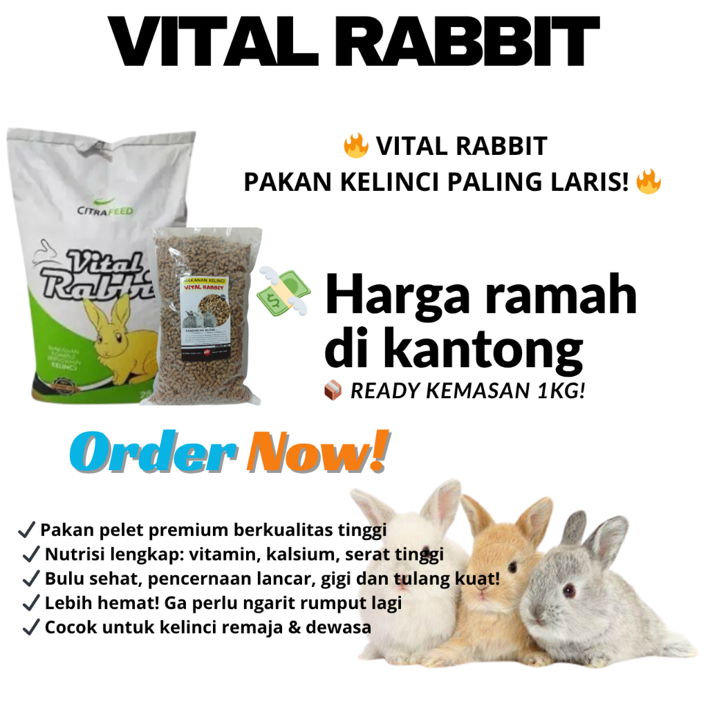 VITAL RABBIT – The Best Food for Your Favorite Rabbits, 1 kg Package ...