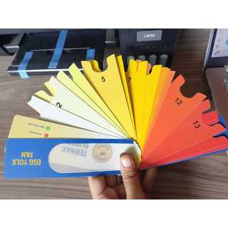 EGG YOLK FAN AND EGG SHELL FAN - CAST AND EGG YOLK COLOR FAN | Shopee ...