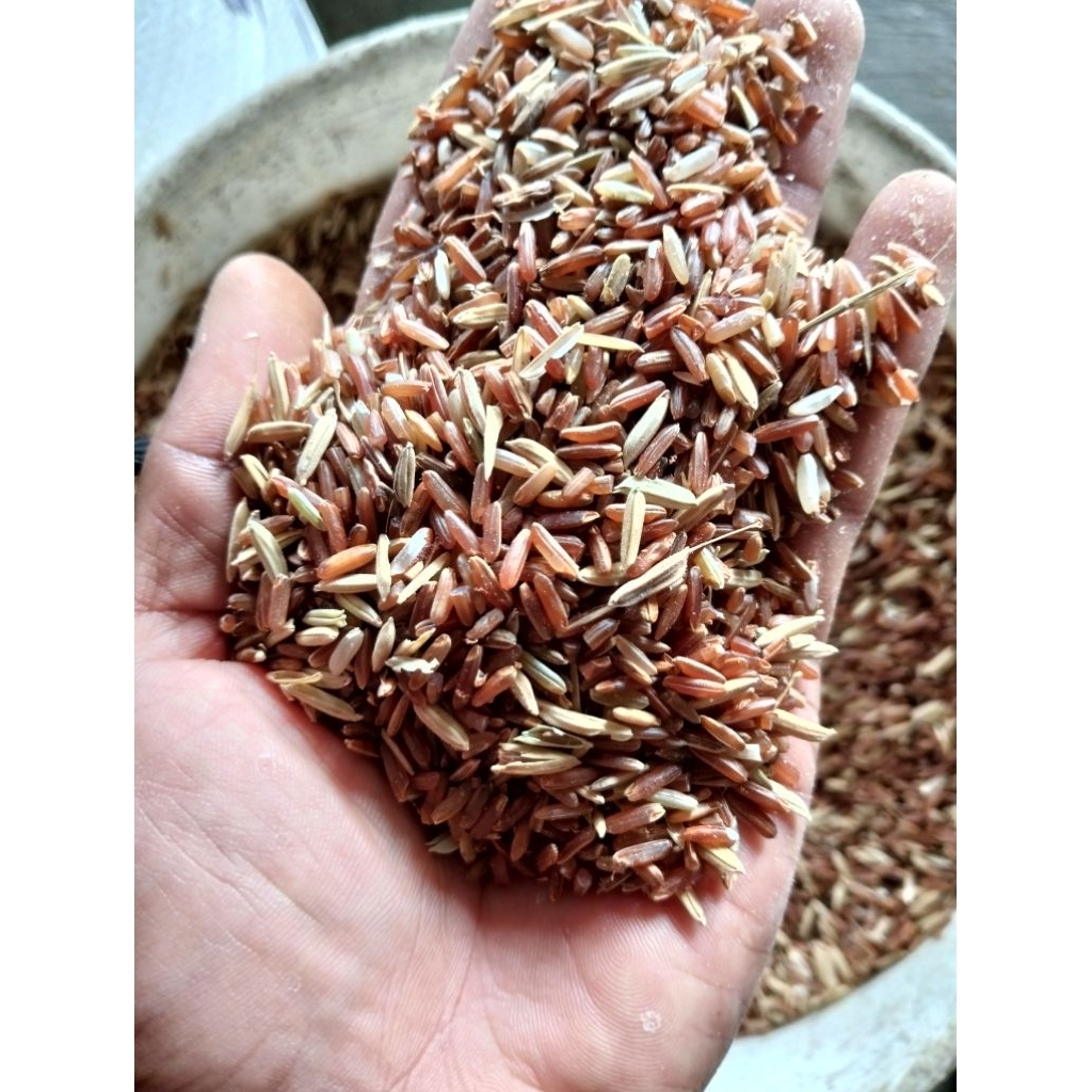MERAH Red Rice for animal feed 1kg packaging | Shopee Philippines