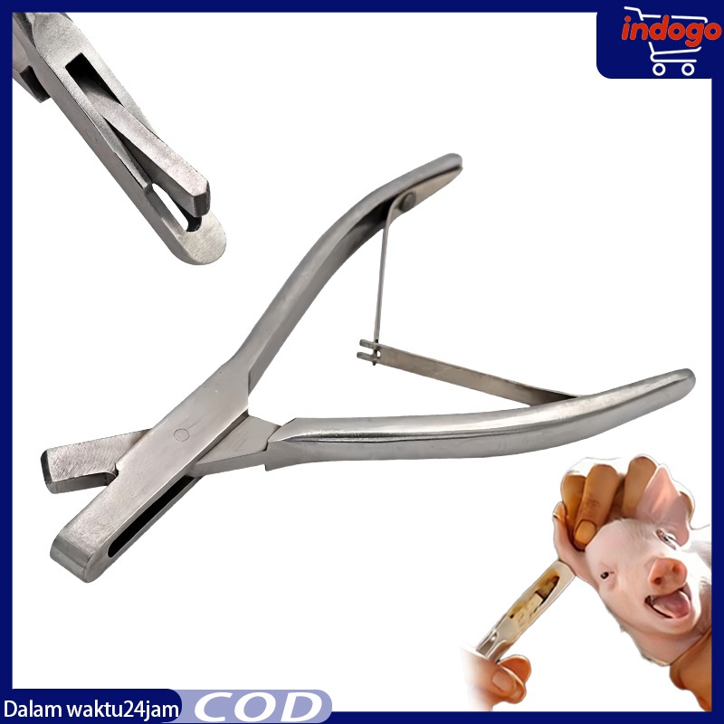 U Model Pig Ear Scissors Pig Ear Cutting Tool Pig Ear Scissors | Shopee ...