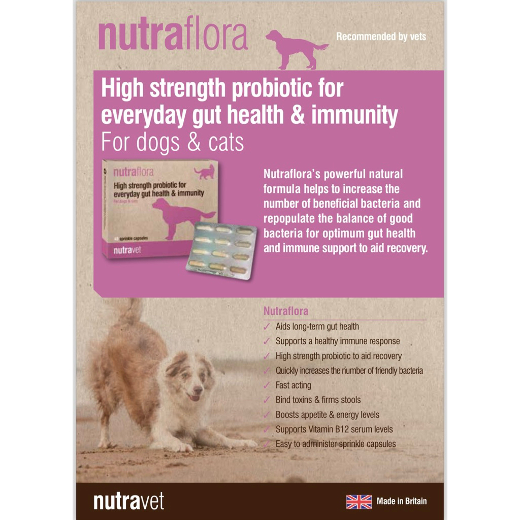 Nutraflora Probiotic prebiotic for diarrhea, urinary tract in dogs ...