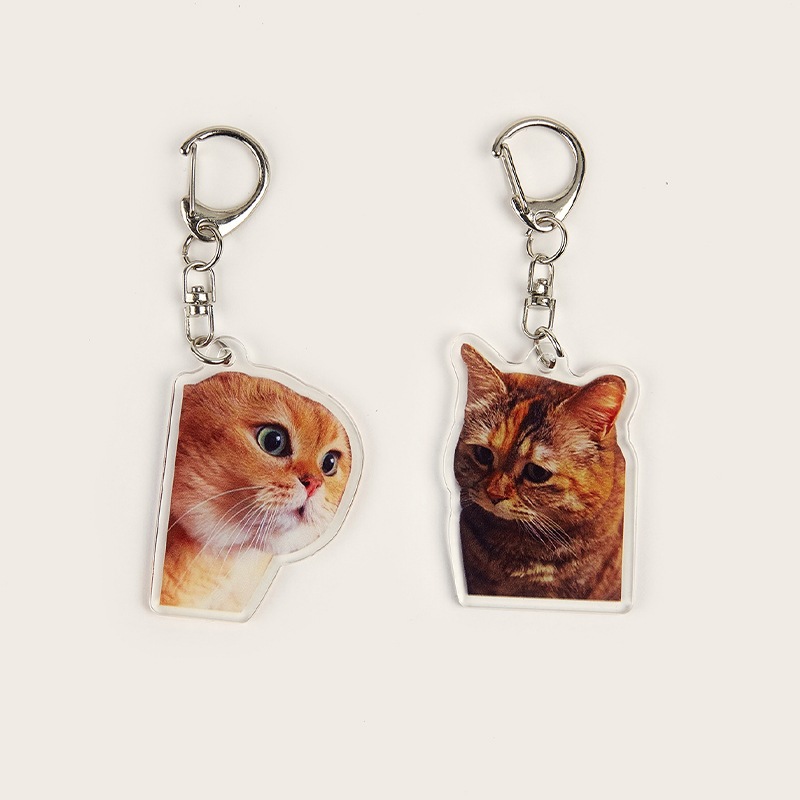 GANTUNGAN Transparent Acrylic Cat Meme Keychain Keychain Cat Gift ...