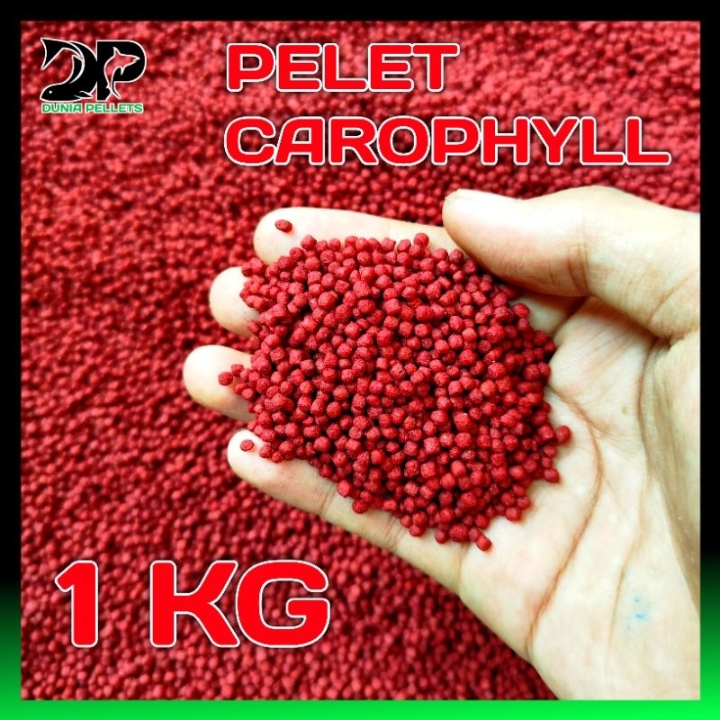 Carophyll mixed pellets, red food to brighten fish color, size 0.5 mm ...