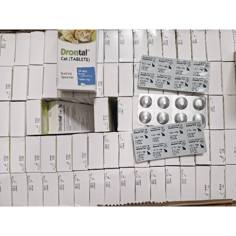 Drontal CAT CAT WORM MEDICINE PER TABLET | Shopee Philippines