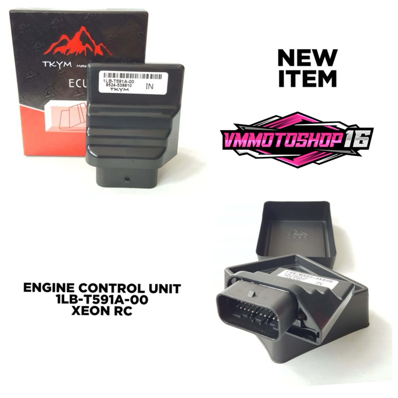 Engine Control Unit ECU 1LB Xeon Rc 125 / Xeon GT 125 / Soul GT 125 ...