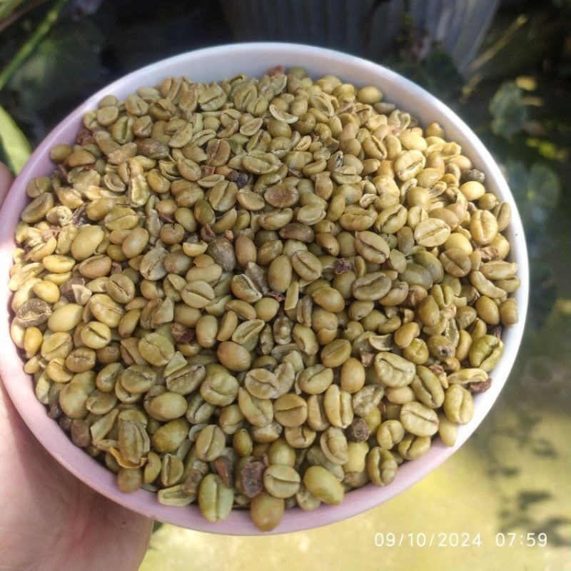 1 Kg EXCELSA ASLAN Coffee / Jackfruit / Arsisa / Arisa / Silsah Gunung ...
