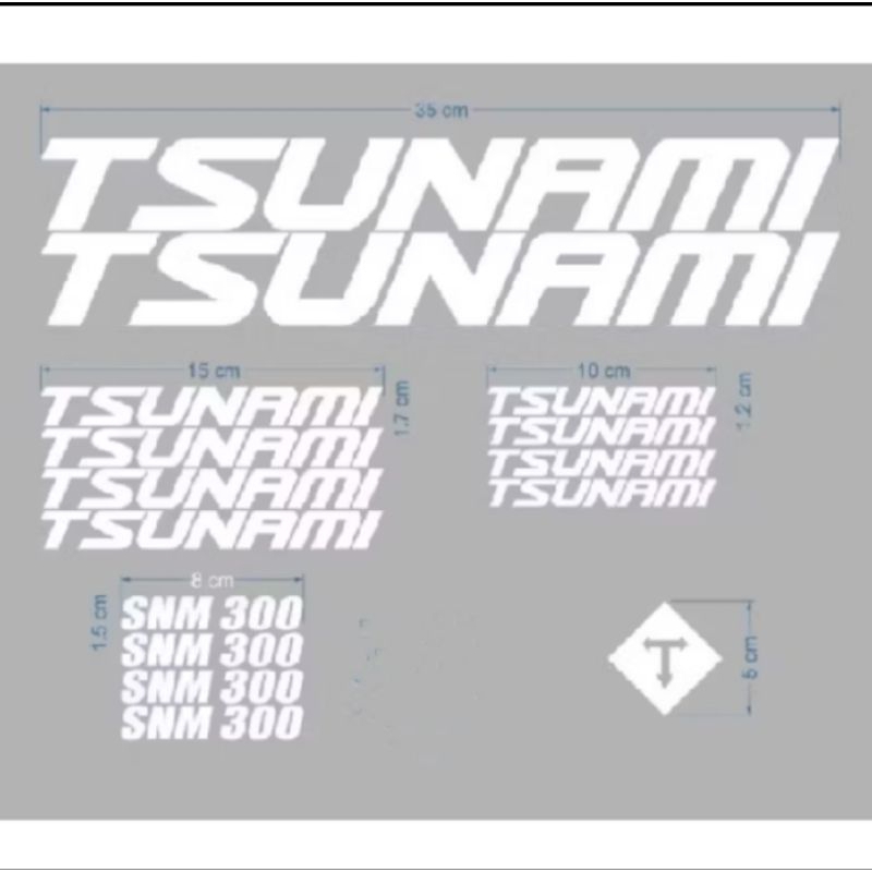 Tsunami SNM300 Fixie Bike Cutting Sticker | Shopee Philippines