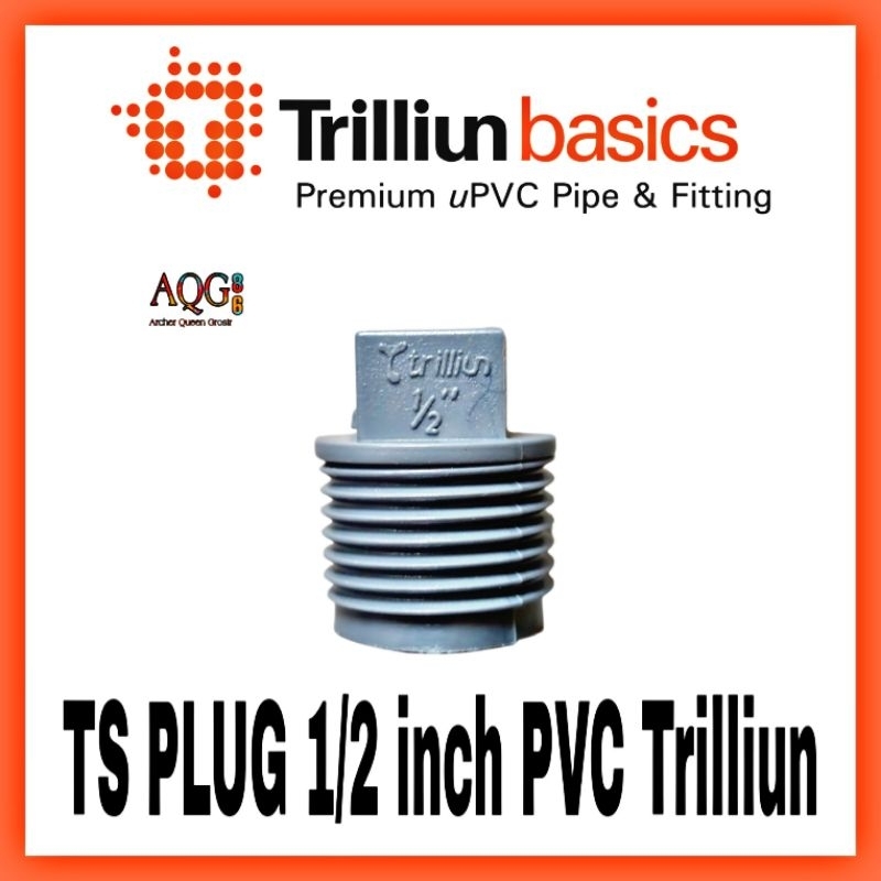 Plug PVC 1/2" TRILLION BASICS - 1/2 INCH PVC WATER PIPE DRAT COVER | Shopee Philippines