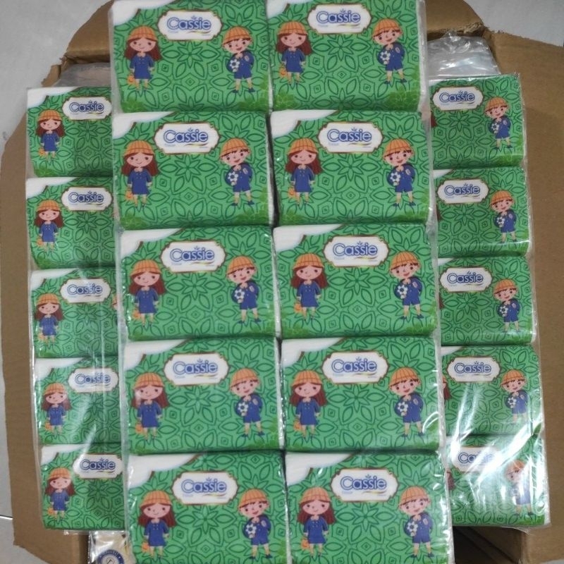 Cassie Pop up Tissue 250 sheets 2ply Hygienic Facial Tissue x 10pcs ...