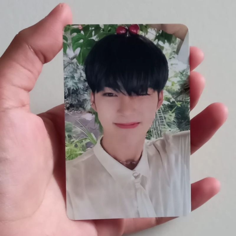 Photocard Official Zerobaseone Pc Sung Hanbin ZB1 Trading Card han bin cherry | Shopee Philippines