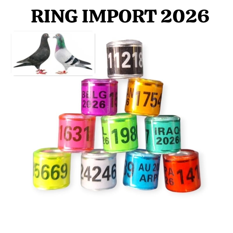 Ring IMPORT Pigeon 2026/RING Pigeon | Shopee Philippines