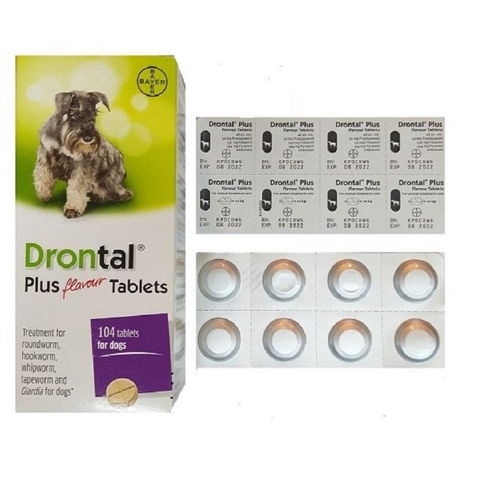 Original Drontal Dog 1 Tablet / Dog Worm Medicine / Tablets | Shopee ...
